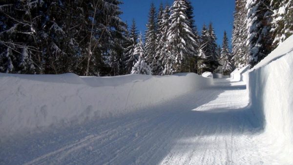 Aktivitäten – Obere Firstalm